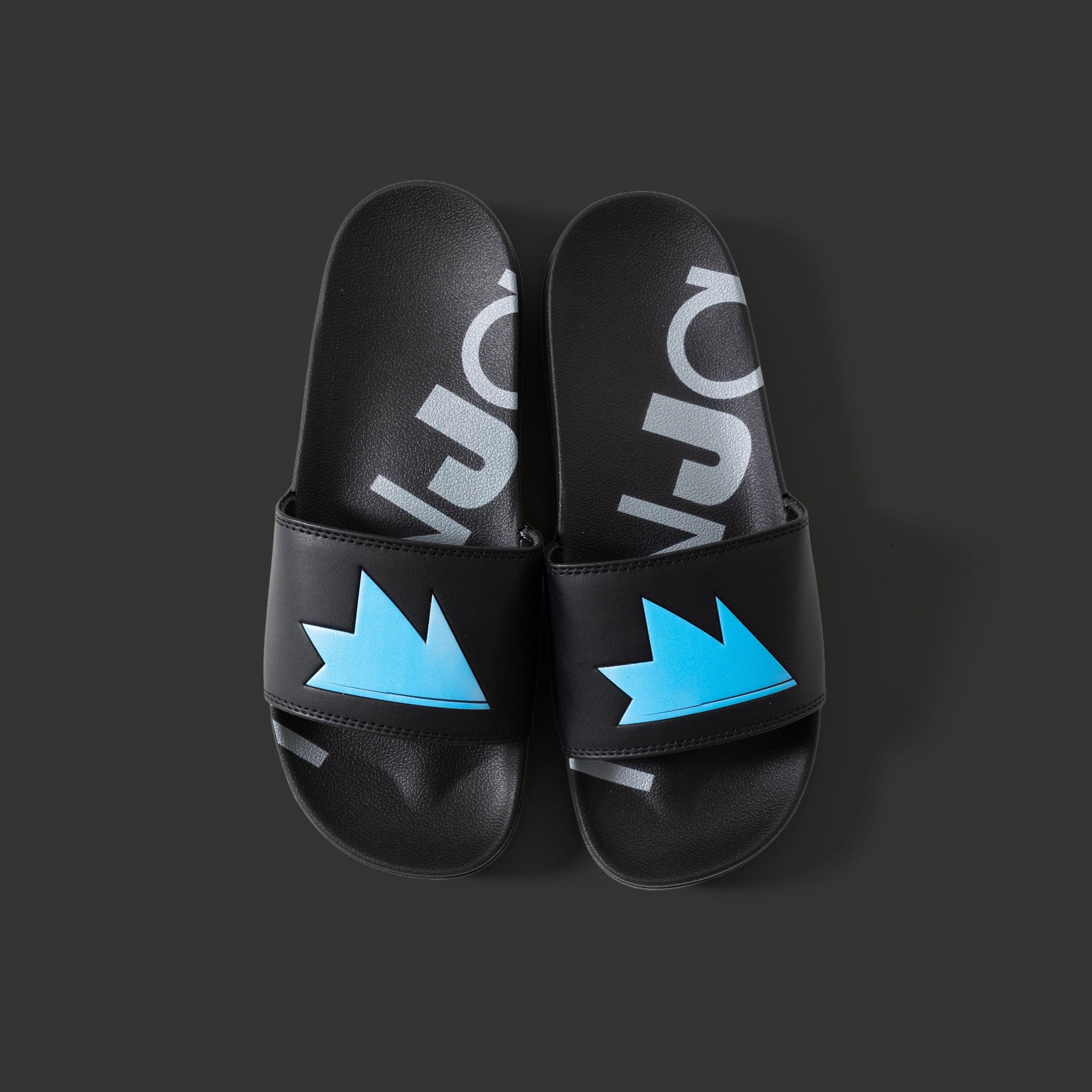 Ninja Slides • Team Ninja