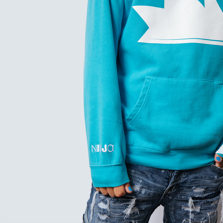 Team Ninja l Official Website